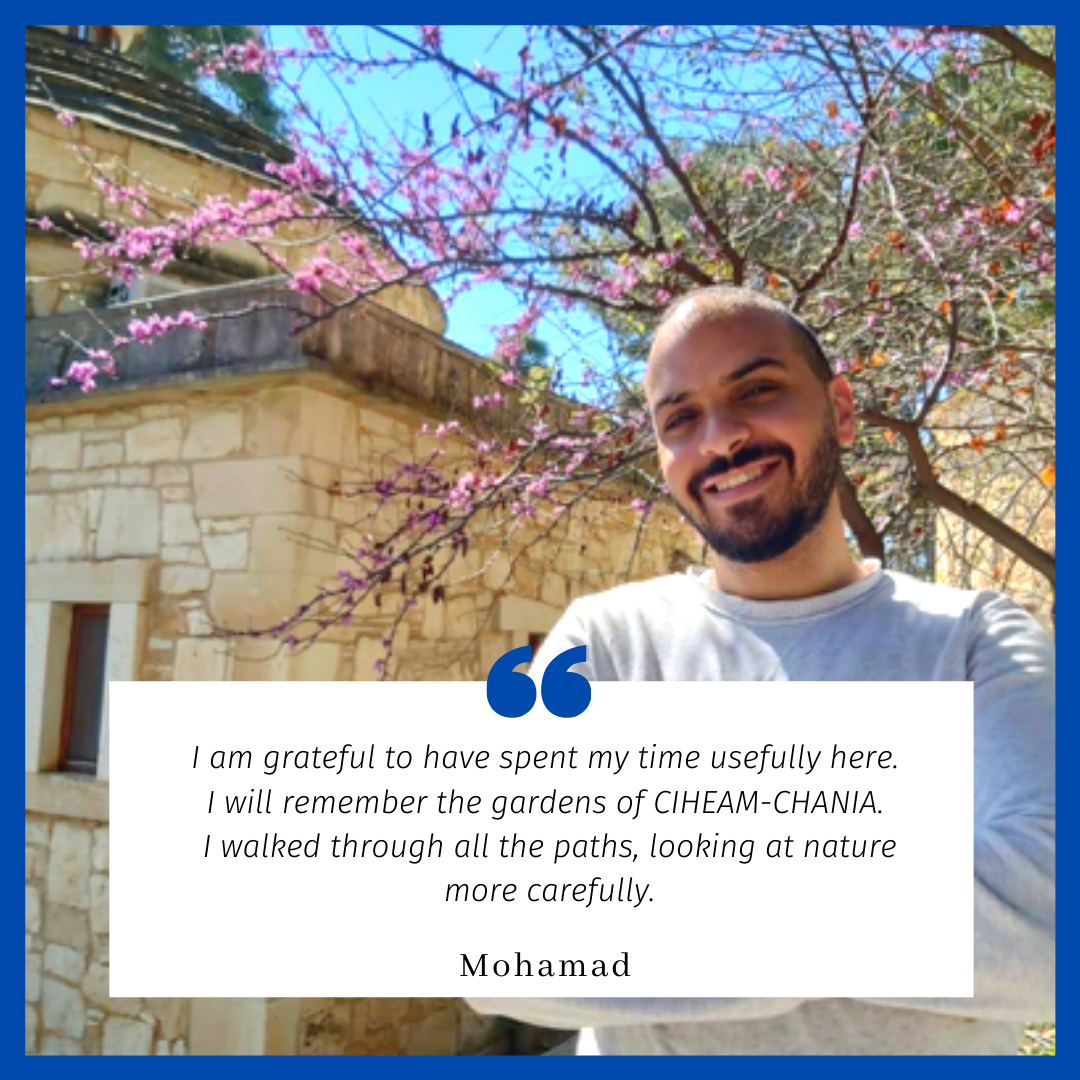 The foreign students of CIHEAM CHANIA narrate their experiences - CIHEAM