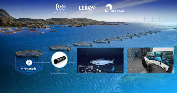 New EU project brings IoT technology to AQUACULTURE sector - CIHEAM