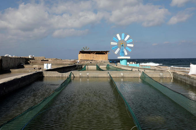 LIBAN : La culture du sel, une tradition menacée - CIHEAM