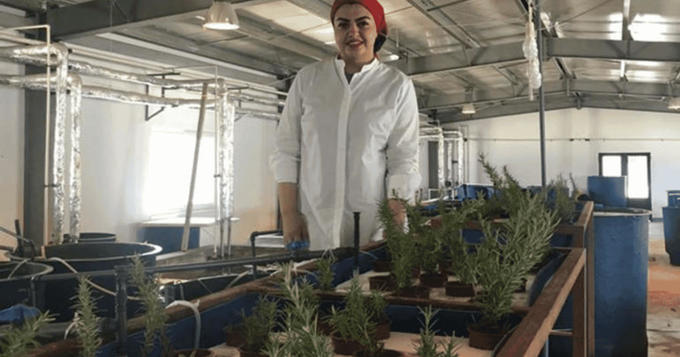 EGYPT : WOMEN in aquaculture: Yasmin Abdullah | The Fish Site - CIHEAM