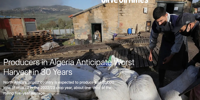 Producers in ALGERIA Anticipate Worst Harvest in 30 Years - CIHEAM