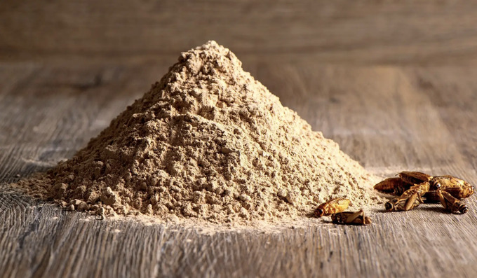 Chefs Incorporate Insect-Based Foods in MEDITERRANEAN Cuisine - CIHEAM