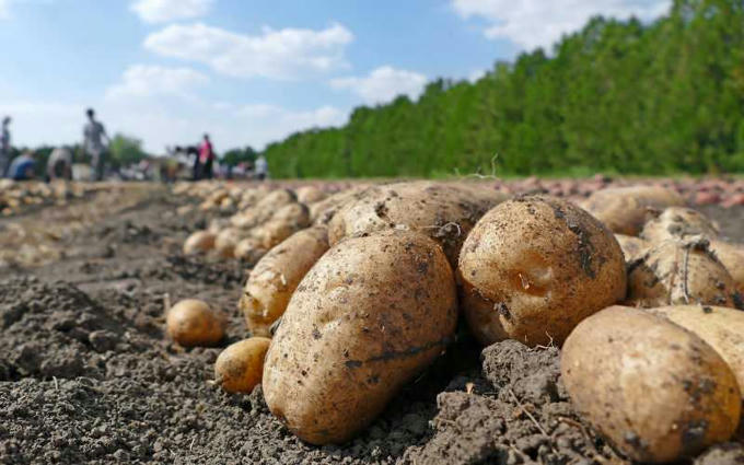 La hausse des prix des légumes force le MAROC à réduire ses ...