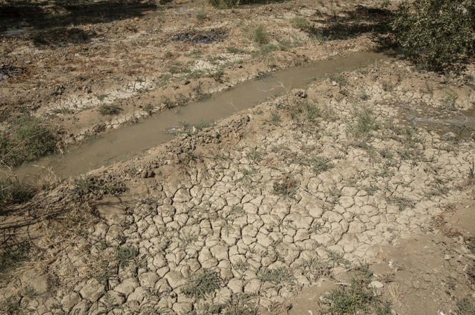 MIDDLE EAST : It is facing severe consequences of climate change - CIHEAM