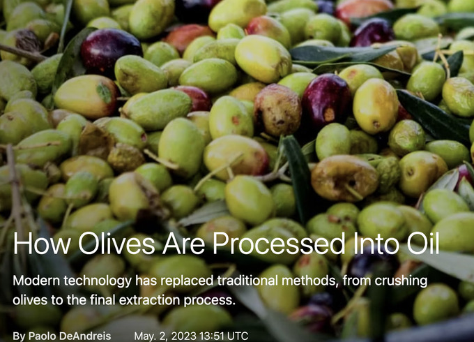 MEDITERRANEAN DIET : How OLIVES Are Processed Into Oil - CIHEAM
